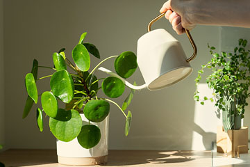 All Products | Sun Life Hong Kong