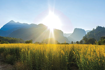 SunRise Universal Life | Universal Life Insurance | Sun Life HK